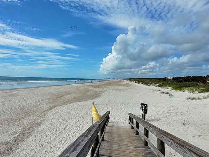 That wooden boardwalk leading to paradise? It's basically Florida's version of the yellow brick road, minus the flying monkeys.