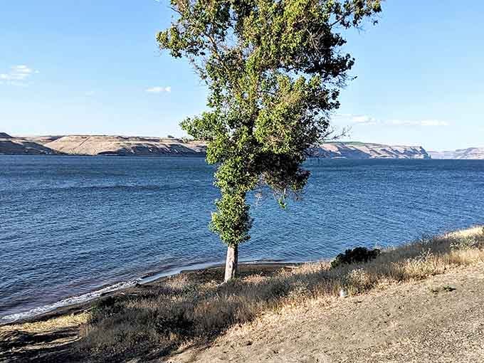 Eastern Oregon's best-kept secret: a genuine sandy beach where you least expect to find one.
