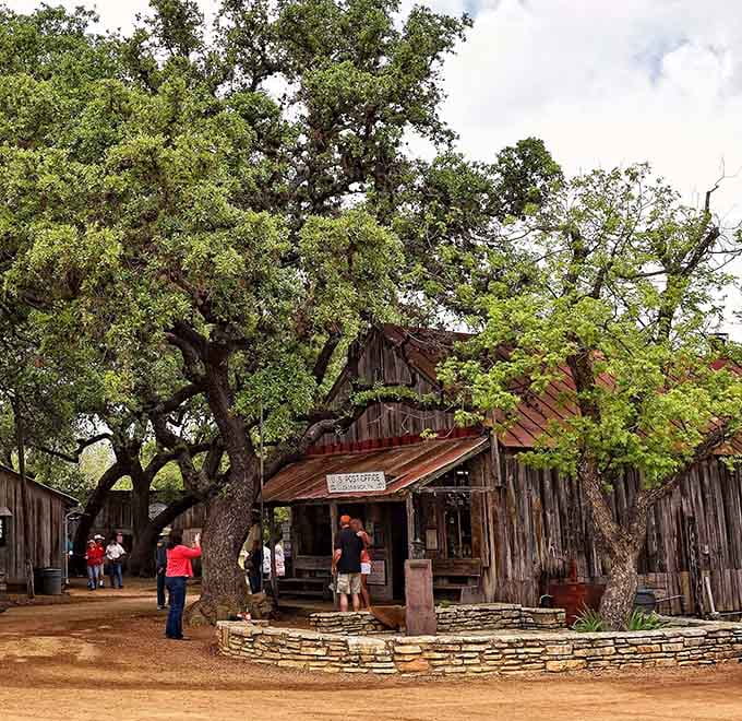 Nature and history intertwine at this iconic building where the oaks have been standing guard longer than most of us.