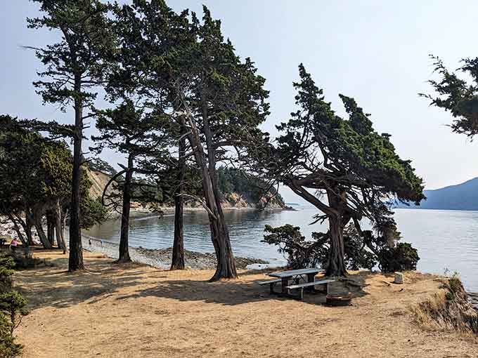 Your waterfront campsite awaits under windswept trees, where the only alarm clock is lapping waves and curious seabirds.