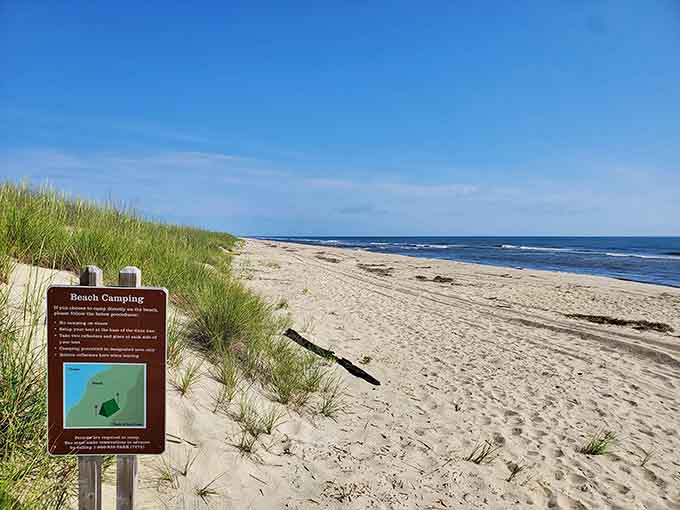 Golden sand meets endless blue where civilization forgot to build condos and parking garages.