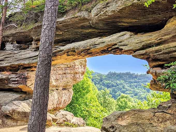 Nature's own picture window frames the forest beyond in a view that makes every step of the hike worthwhile.
