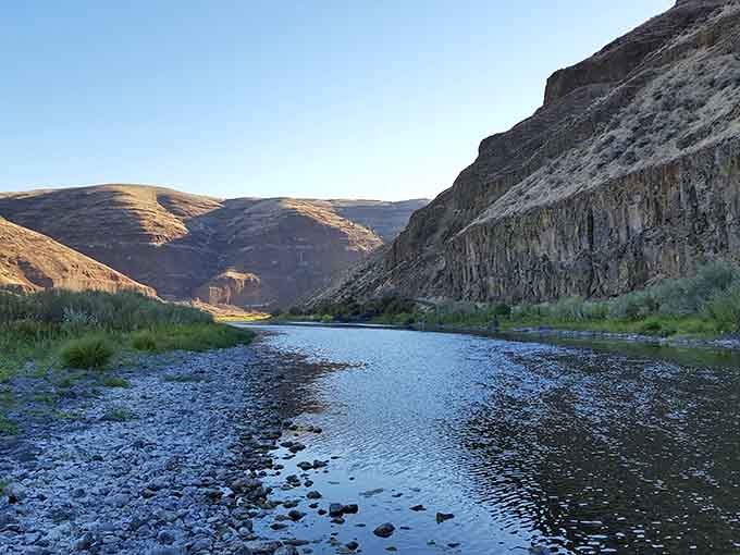 The canyon unfolds like nature's own masterpiece, golden hills meeting blue sky in perfect harmony.