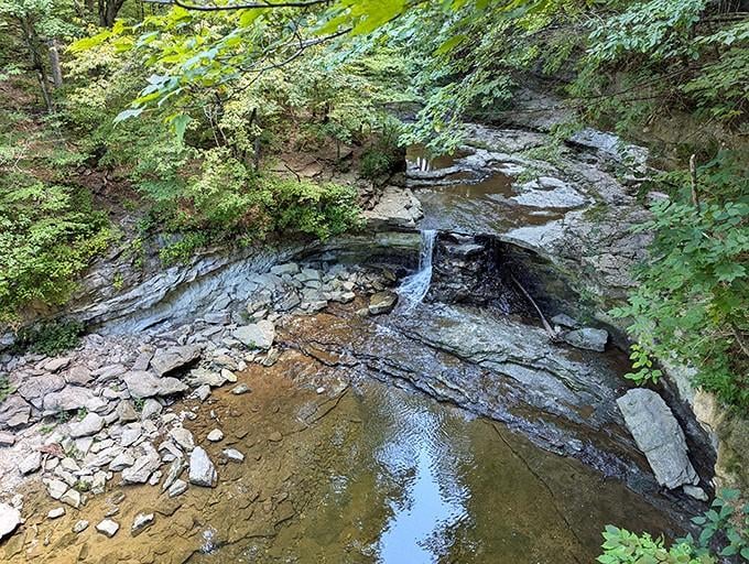 The creek's patient work over millennia creates swimming holes that make you reconsider your community pool membership.