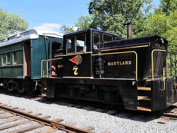 When your locomotive proudly wears "Maryland" like a badge of honor, you know you're riding state pride.