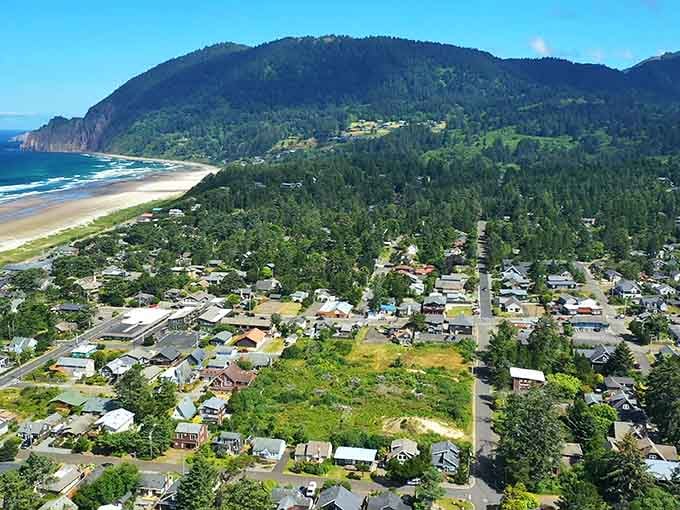 From above, Manzanita reveals its secret: a village that refused to sell its soul for condos and crowds.