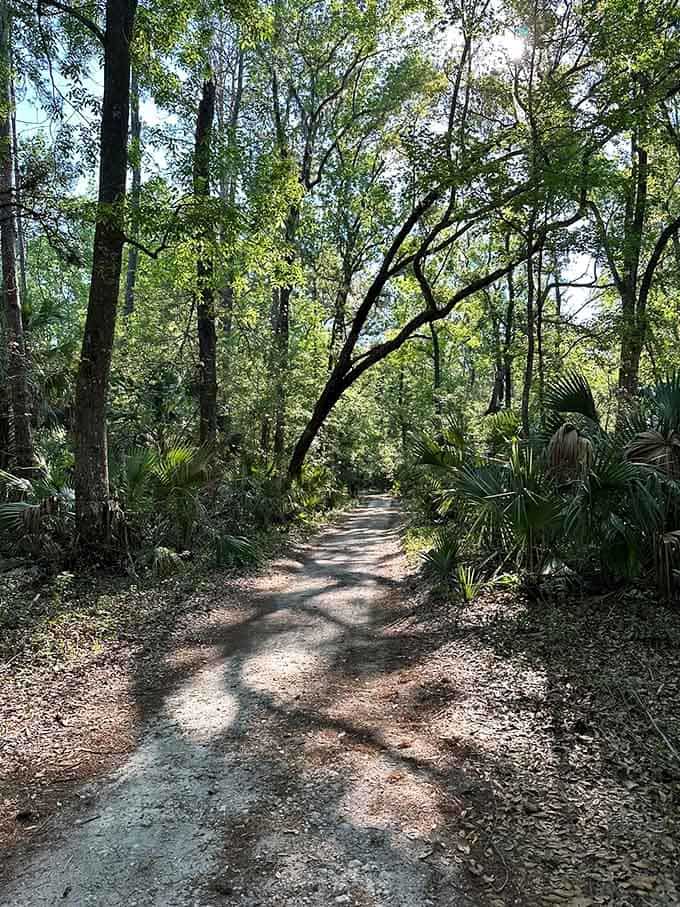 The trail beckons like nature's own red carpet, minus the paparazzi and uncomfortable shoes.