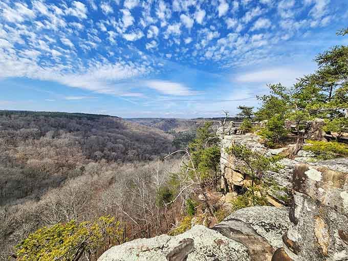 That view hits different when you're standing 800 feet above the canyon floor, doesn't it?
