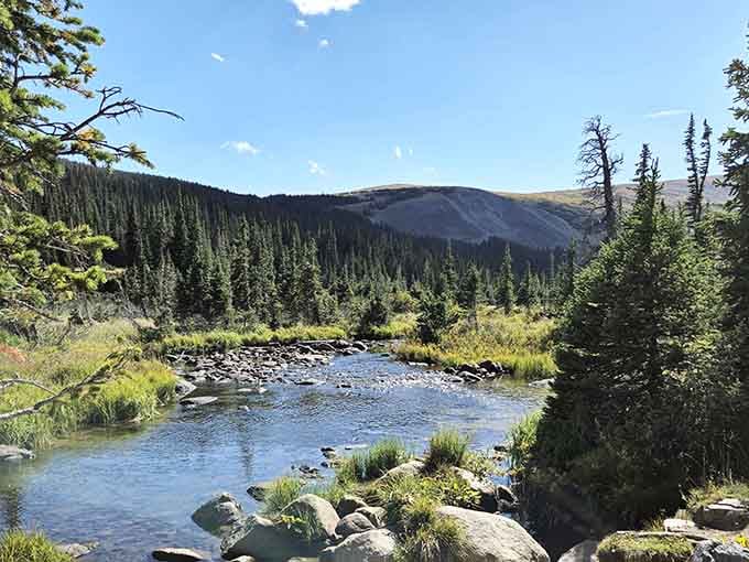 South St. Vrain Creek meanders through the wilderness like it's got all the time in the world, because it does.