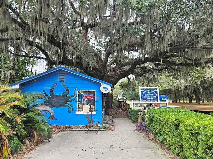 Spanish moss and fresh seafood signs create the perfect Lowcountry welcome you've been searching for all along.
