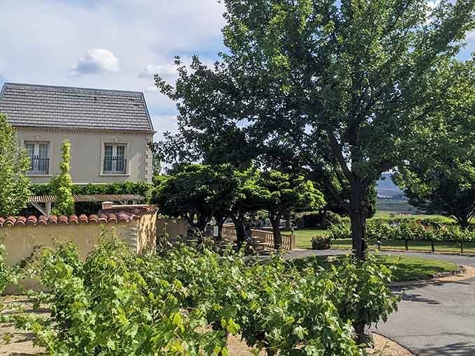 Mature trees and European-inspired architecture create a peaceful setting where vineyards meet French Provincial charm in Eastern Washington's wine country.