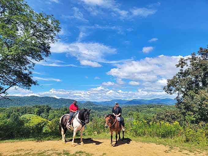 Take a scenic horseback ride through the rolling green hills and mountain vistas near the historic Little Pine Garnet Mine.