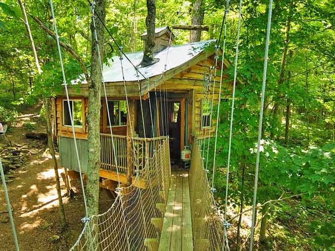 That rope bridge isn't just for show; it's your official entrance into a childhood dream with upgraded amenities.