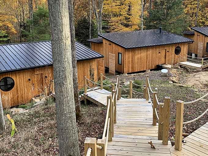 Modern architecture meets Mother Nature, and somehow they've decided to become best friends in the Ohio woods.
