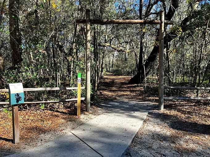 When the trail looks this inviting from the start, you know you're in for something special.