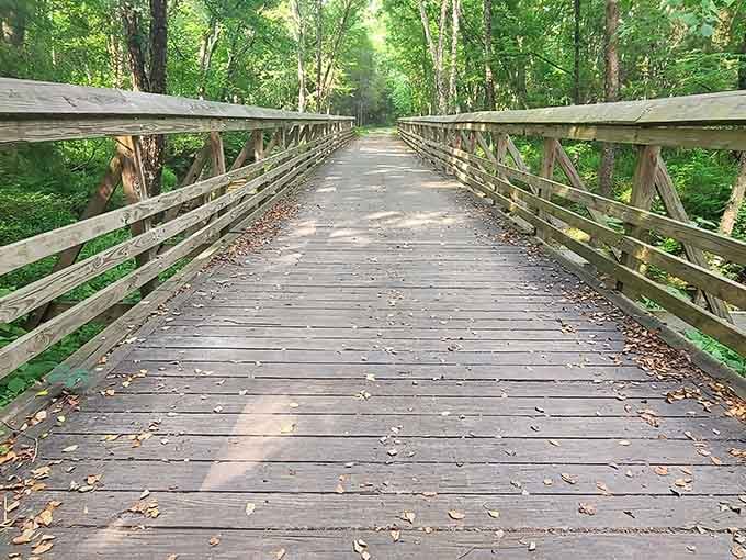 Steel and wood converge over the Broad River, creating a pathway that feels suspended between earth and sky.