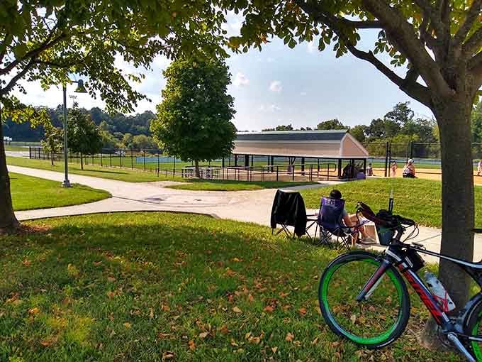 Shade trees, open space, and a pavilion that actually provides shelter&mdash;someone clearly thought this through.