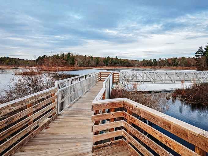 The boardwalk stretches ahead like an invitation you can't refuse, promising views that'll make your camera very happy.