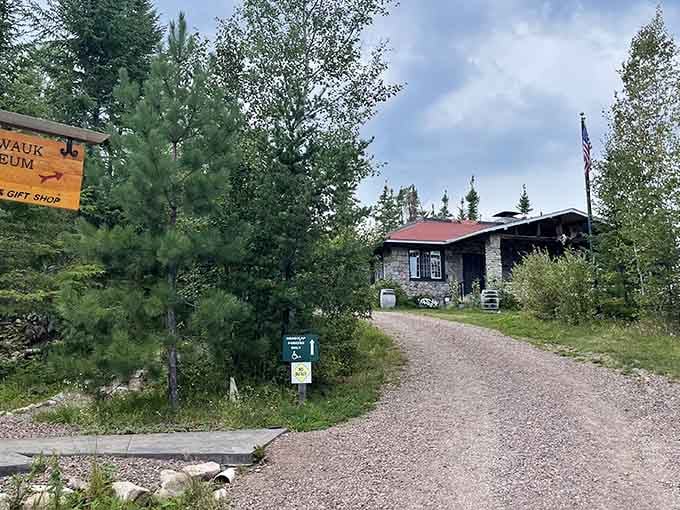 Your adventure begins down this gravel path, where the wilderness whispers your name through the pines.