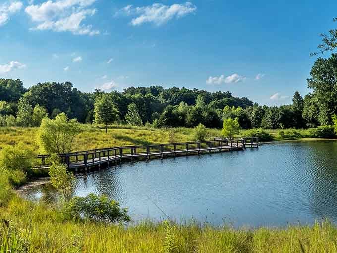 The lake views from this playground make it clear why families keep coming back to Indian Camp Creek Park.