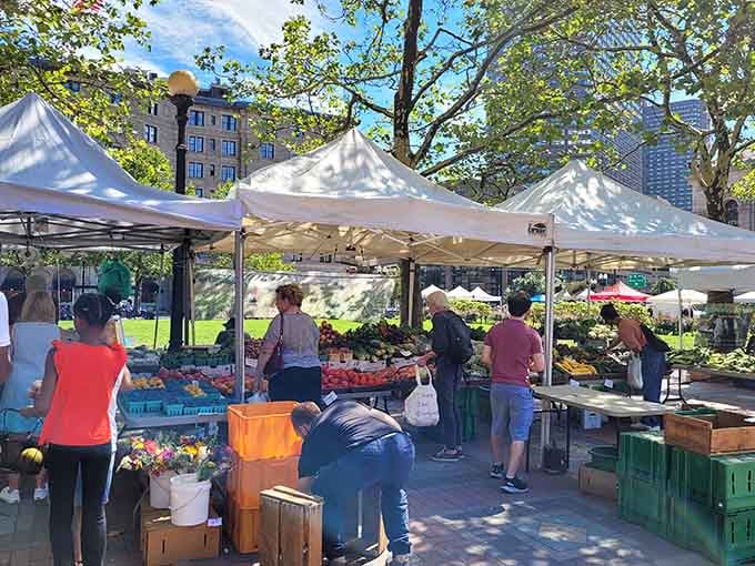 White tents bloom across Copley Square like a produce-filled garden that actually requires zero weeding from you.