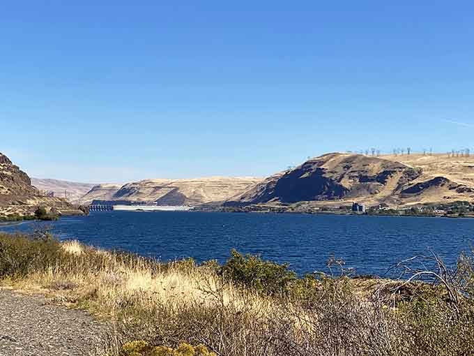 Golden hills meet blue water in a landscape that'll make you forget you're still in Washington.