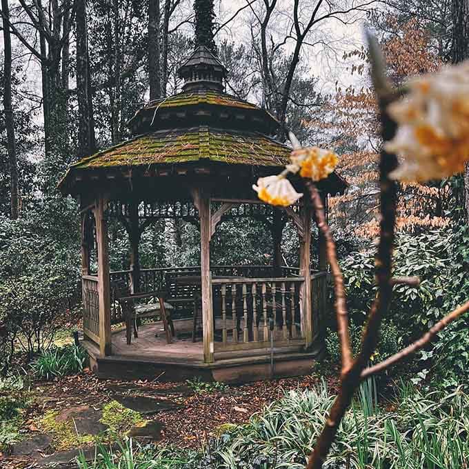 A gazebo that's seen more romantic moments than a Hallmark Channel marathon weekend.