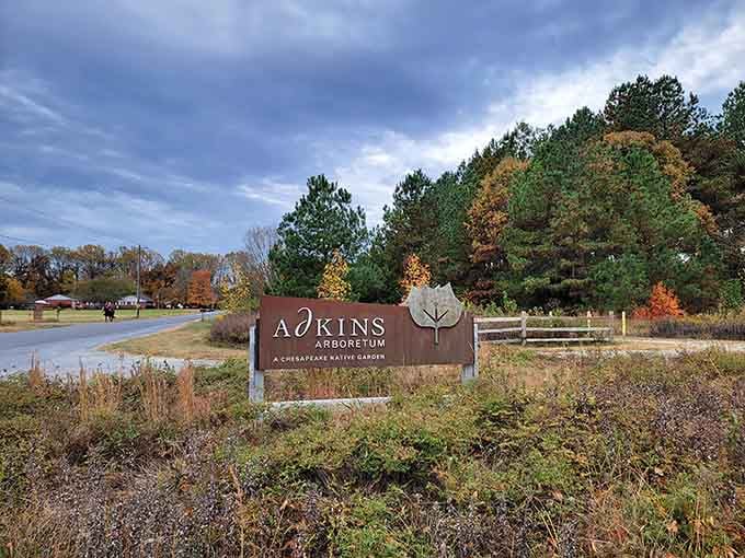 The welcoming sign promises a Chesapeake native garden where local plants finally get their moment to shine.