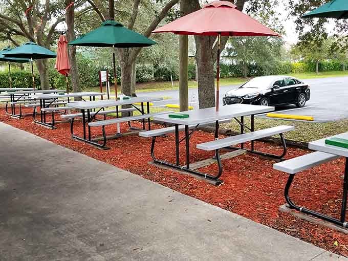 Picnic tables under colorful umbrellas and shady trees, outdoor dining the way Florida intended it to be enjoyed.