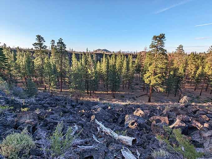 The Modoc National Forest landscape stretches endlessly, offering the kind of solitude that either terrifies or liberates you completely.