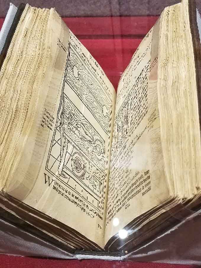 Ancient magic texts reveal secrets that performers guarded as carefully as your grandmother protected her best recipes from nosy neighbors.
