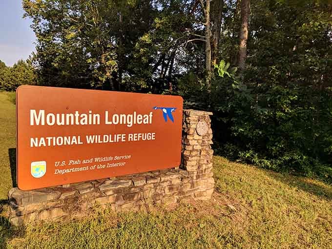 Mountain Longleaf offers peaceful trails where the only thing you'll spend is time communing with nature.