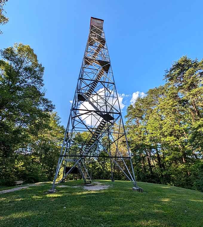 The fire tower offers panoramic views for those willing to climb, rewarding effort with perspective that's genuinely earned.