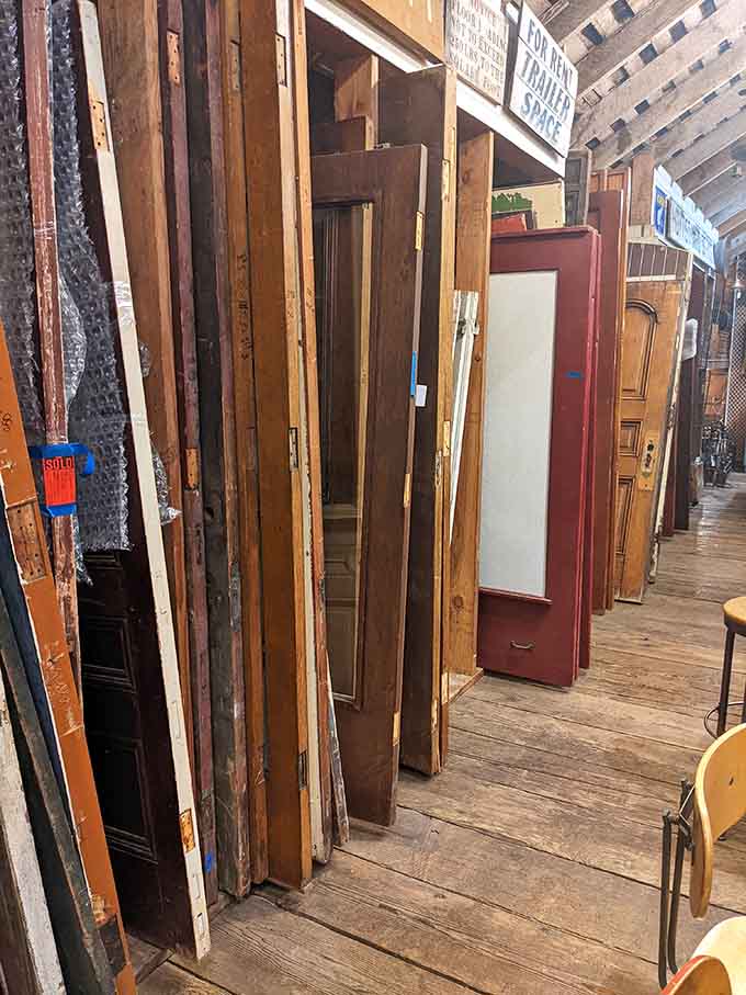 Salvaged doors lean together like old friends sharing secrets, each one a portal to someone's past and your future project.