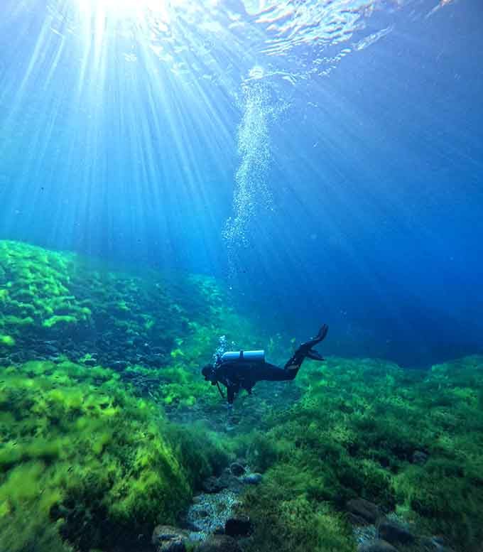 Sunlight pierces the depths as a diver explores an underwater world you'd never expect in the Chihuahuan Desert.