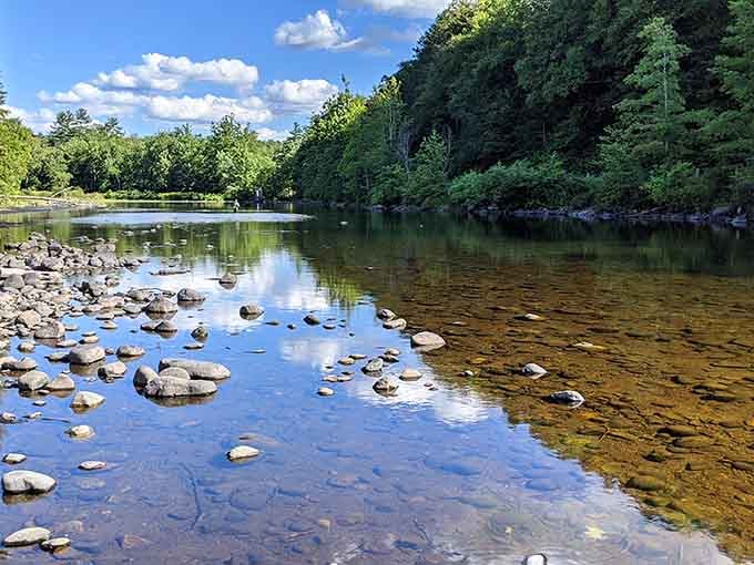 Clear water and smooth stones create the kind of swimming hole that makes you forget your phone exists.