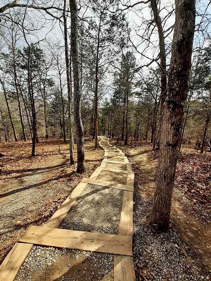 Wooden boardwalks guide you through the forest like nature's own yellow brick road, minus the flying monkeys thankfully.