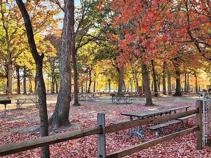 Fall transforms the picnic area into a crunchy carpet of leaves that's almost too pretty to walk on.