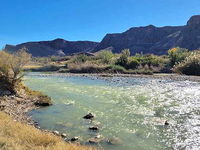 The Rio Grande flowing peacefully, completely unaware it's creating postcard-worthy views every single day.