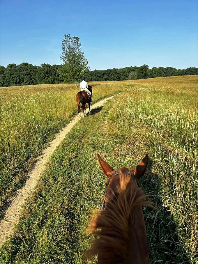 Horseback riding through golden fields: living out your cowboy fantasies without having to move to Montana or Wyoming.