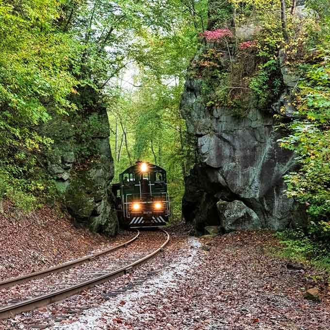 When the tracks follow a mountain creek, you realize GPS never showed you routes this beautiful.