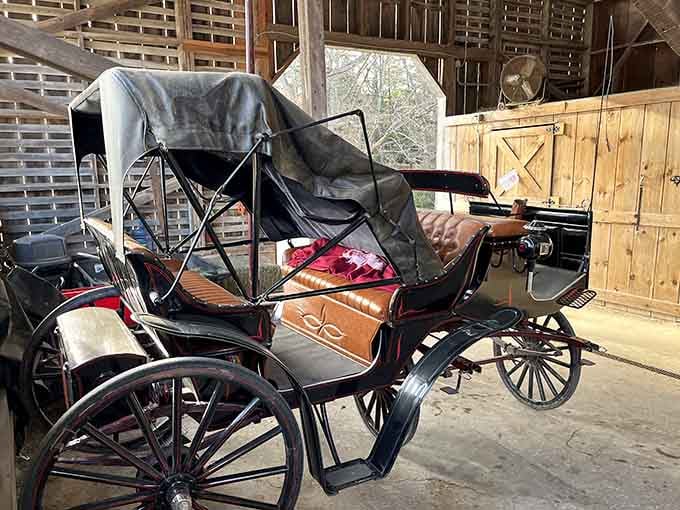Four wheels, zero horsepower problems, and a ride smoother than your morning commute ever was.