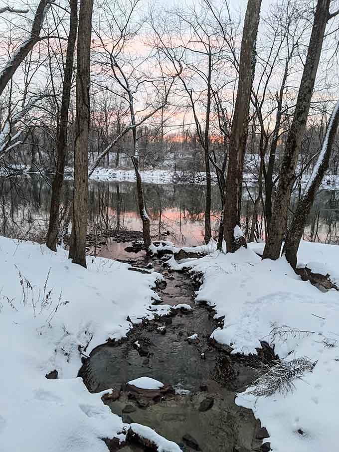 Winter transforms the sanctuary into a scene worthy of a holiday card, minus the cheesy greeting inside.