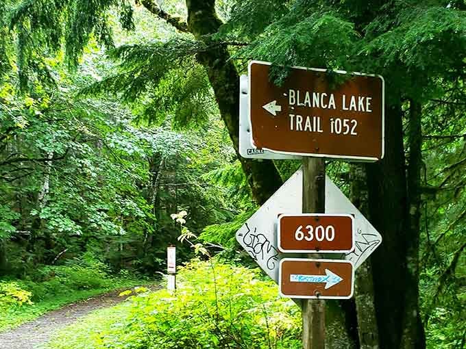 The directional signs point the way to paradise, though they don't mention the quad-burning climb involved.