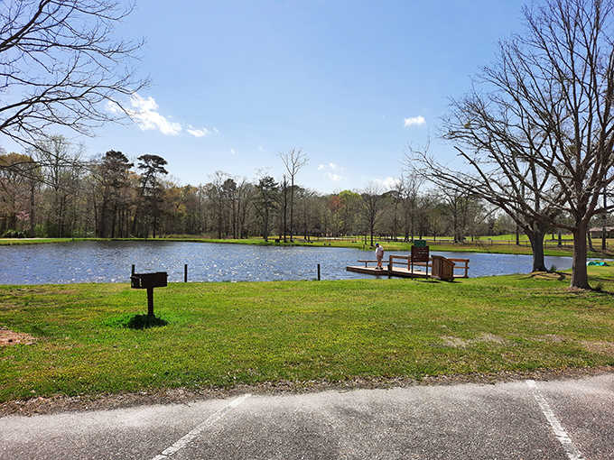 The lake offers peaceful fishing spots that make you wonder why anyone would choose a crowded pier instead.