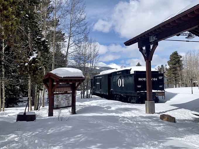 Winter transforms the park into a snow-globe scene, proving these old trains photograph beautifully in every season imaginable.