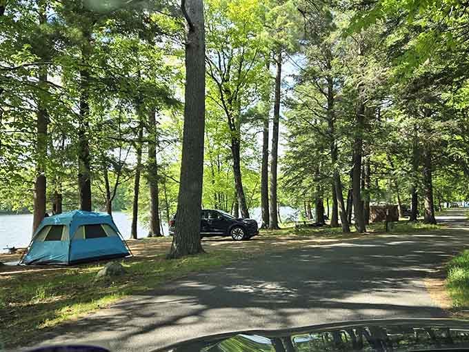 Campsites nestled among trees that provide actual privacy, not the pretend kind where you hear everything next door.
