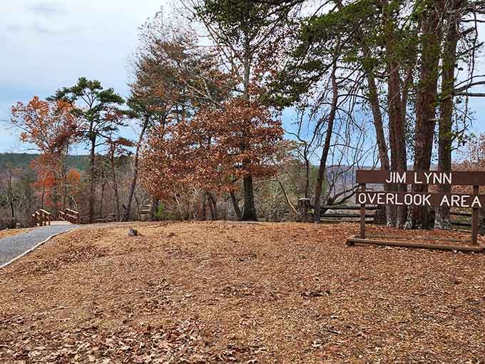 The Jim Lynn Overlook Area: where jaws drop and camera rolls fill up fast.