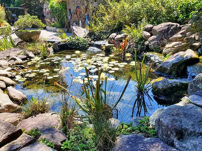 A tranquil pond where even the water lilies seem to be in on the garden's enchanting secret.