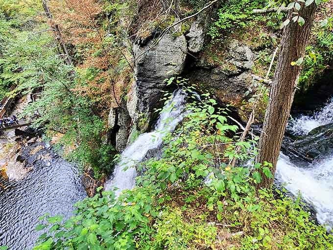 Peek through the autumn branches and spot one of eight waterfalls waiting to steal your breath completely away.